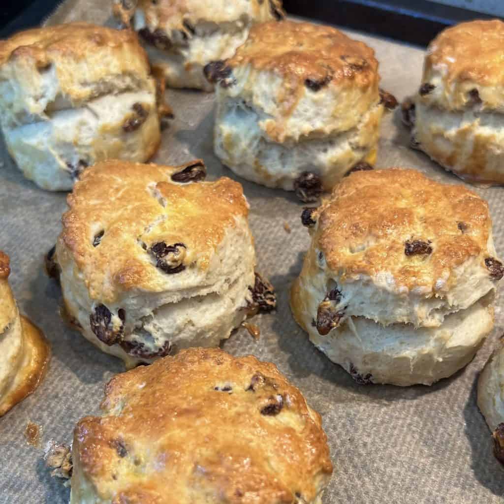 Perfect Fruit Scones (Easy Recipe) - Laurens Cravings